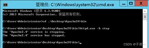 Windows上使用apache24搭建代理ip服务器 动图图解（腾讯云服务器windows Server 2012 R2） 谭子 Csdn博客