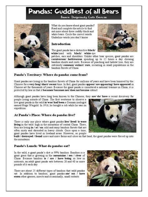 Reading About Pandas Pdf Giant Panda Bears