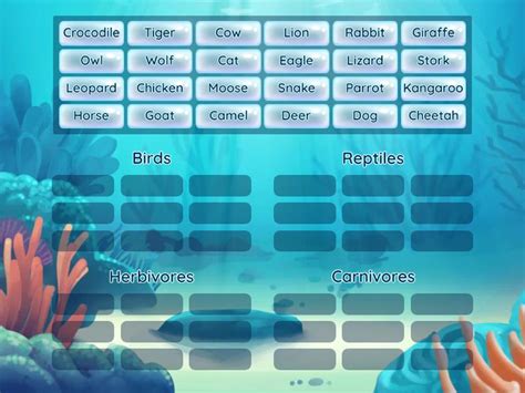 Classifying Animals Group Sort