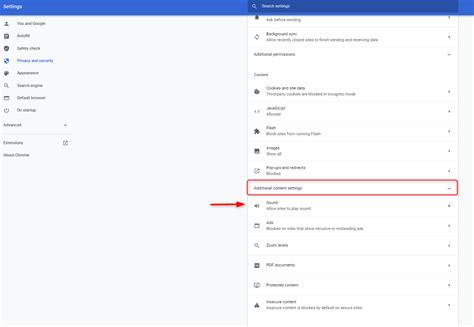 10066 How To Allow The Audio From The Browser Settings In Order For