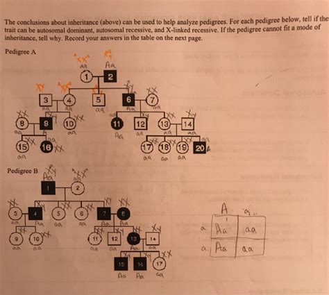Solved The Conclusions About Inheritance Above Can Be Used