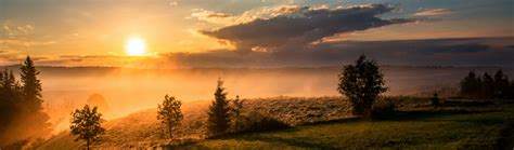 Vitamin D Essential Benefits And How To Take It Safely Inmotion Life
