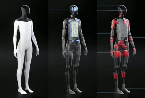 Tesla Bot Announced Everything About The Tesla Bot By Indramal