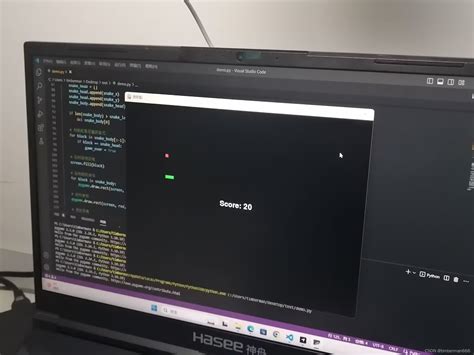 python小游戏——贪吃蛇游戏2 0版本の得分功能实现 pygame显示分数 csdn博客