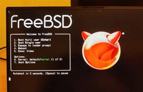 why a gnu linux user decided to learn freebsd dbdemon