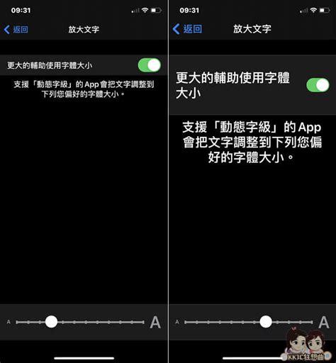 教學 iPhone 字體太小如何調大小加粗Safair 如何調整網頁字體大小