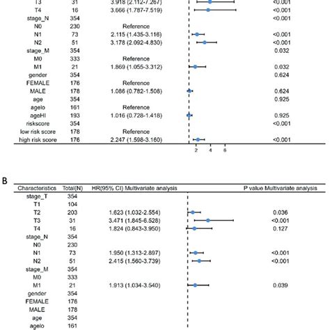 Forest Plots Between Risk Score And Clinical Characteristics A