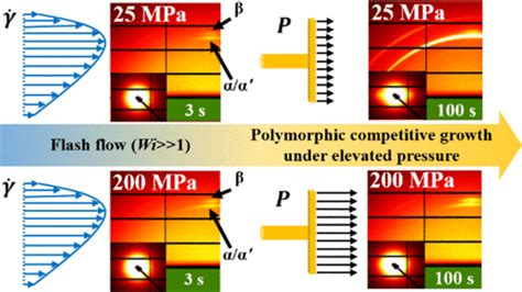 Flash Flow Induced Crystallization Of Polyl Lactide Under Elevated Pressure During Industrial