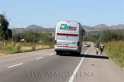 Fiestas De Octubre En Magdalena De Kino Sonora Viva Magdalena