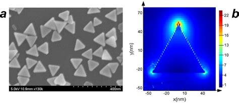 A Sem Image Of Ag Triangular Nanoprisms B Electric Field Download Scientific Diagram