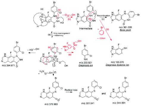 Scheme 1 Fragmentation Pattern Of Protonated Selumetinib Scheme 1