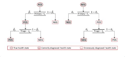 Diagnosis In Triage Screening Schemes Download Scientific Diagram