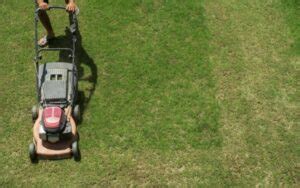 How to Use Starting Fluid on Lawn Mower (+ Where to Spray It)