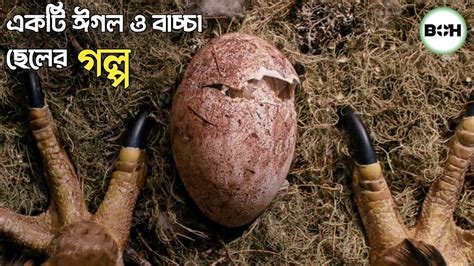 একটি ঈগল ও বাচ্চা ছেলের গল্প Movie Explained In Bangla Youtube