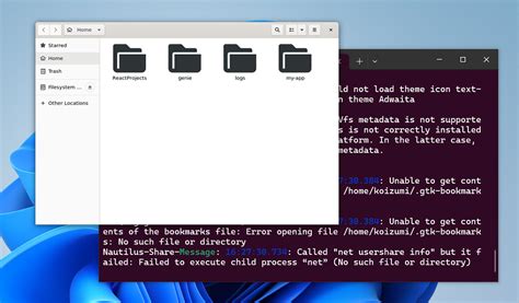 Wsl2 Gui