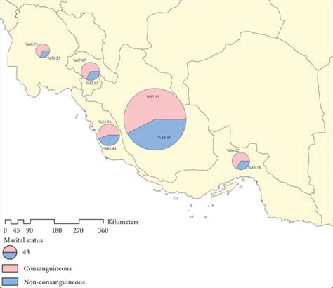 A Frequency Of Degree Of Consanguinity Among Cl P Patients Born From Download Scientific