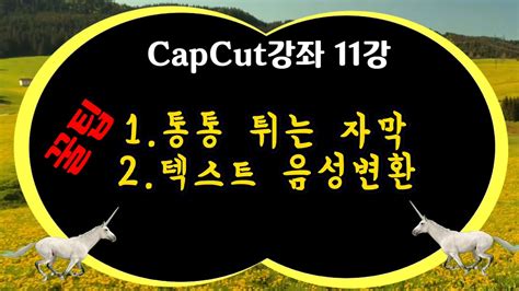 재미있는 통통 튀는 자막 적용하고 자막을 음성으로 변환하기 Capcut 11강 통통 튀는 자막 And 텍스트 음성변환 Youtube