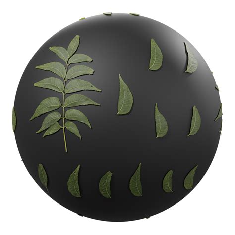 Bumpmaptexture Poliigon