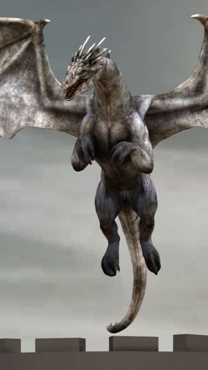 C3 Flight School Ianimate Store