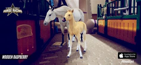 Introducing Wooden Raspberry My Adorable New Foal