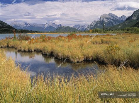 Marsh Grass On Vermilion Lakes Banff National Park Alberta Canada — Travel Horizontal