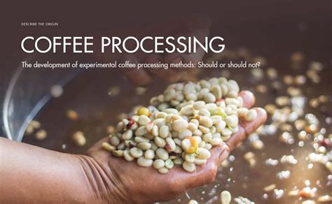 The Development Of Experimental Coffee Processing Methods Should Or