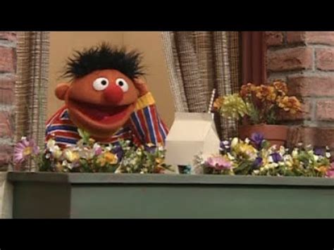 Elmos World Quizzes Bugs Youtube