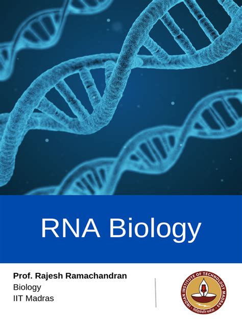 Rna Biology Pdf Nucleotides Rna