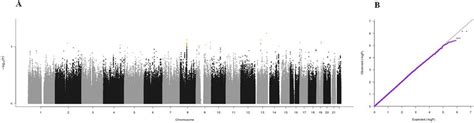 a manhattan plot and b qq plot of p values based on analysis of the