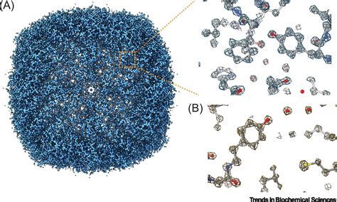 Electron Microscope Single Atom