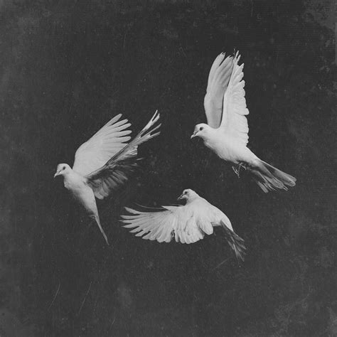 Pusha T Wallpapers Wallpaper Cave