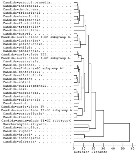 Fatty Acid Profiling Identification Method Of Emerging Fungal Pathogen