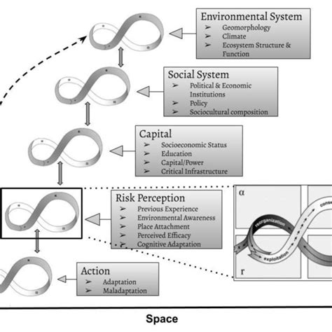 Adaptive Cycle From Panarchy Edited By Lance H Gunderson And C S Download Scientific Diagram