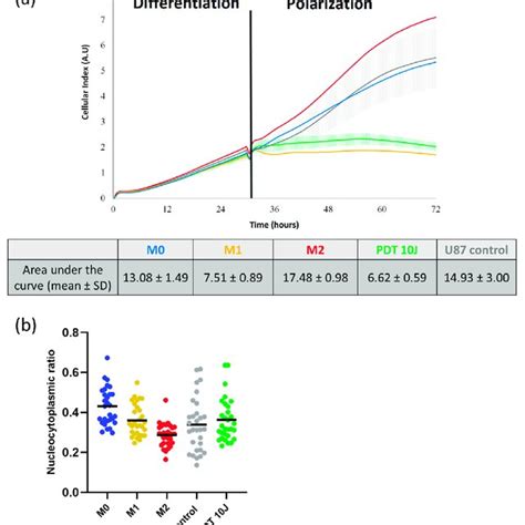 Macrophages Nucleocytoplasmic Ratio A Using Imagej Software And