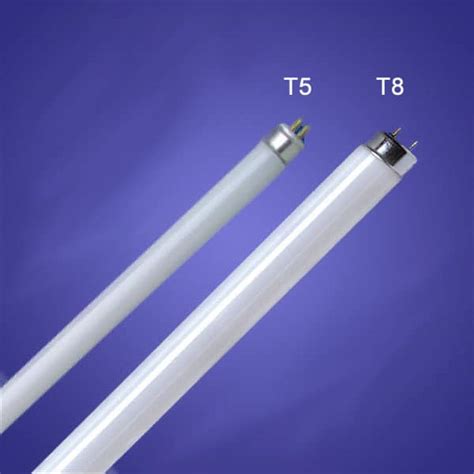 Difference Between T5 And T8 Lighting In Fish Tank Aquariums Tropical Fish Site