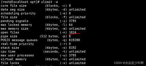 linux系统调优详解（十一）——io调优之文件打开数目限制 源码巴士