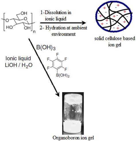 IJMS Special Issue Ionic Liquids 2014 Selected Papers From ILMAT 2013