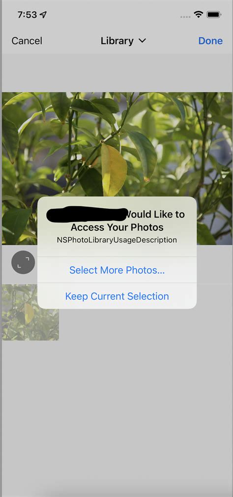 App Crashes When Changing Selected Image Issue Yummypets YPImagePicker GitHub
