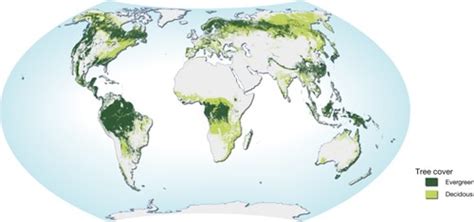 World Map Of Forest Distribution Natural Resources Fore Flickr