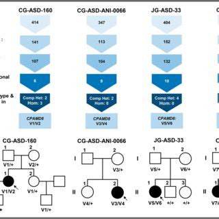 Variant Filtering Scheme Used For Candidate Variant Identification And Download Scientific