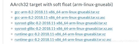 最新的ARM GCC下载安装指南 arm linux gcc阿里云盘下载 CSDN博客