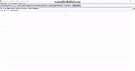 inql scanner not scanning the given url · issue 21 · doyensec inql