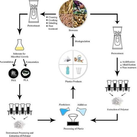 The Life Cycle Of Bioplastics Reference84613