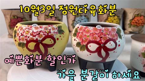 2024년 10월 3일 예쁜화분에 가을분갈이 하세요정원다육화분 정원다육 다육화분 다육식물 수제공방분 Youtube
