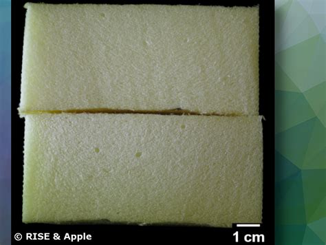 Pulp Based Low Density Material To Replace Polymeric Foams Chemistryviews