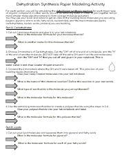 Dehydration Synthesis Paper Modeling Activity Docx Dehydration Synthesis Paper Modeling