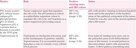 Markers For Sebaceoma Show A Spectrum Of Cell Cycle Regulators Tumor Download Table