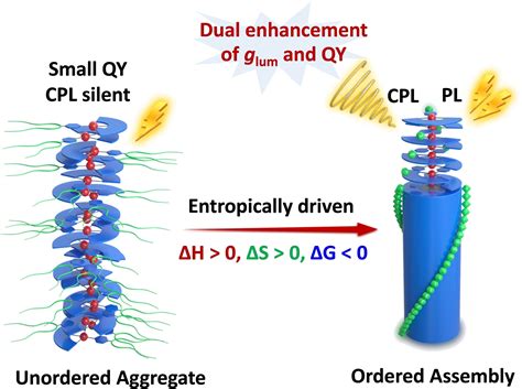 Dual Enhancement Of Phosphorescence And Circularly Polarized Luminescence Through Entropically
