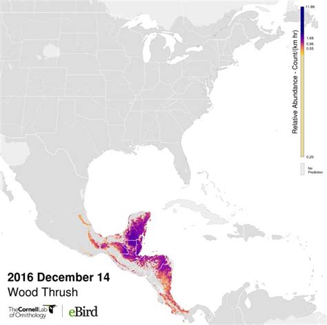 Wood Thrush Estimates Of Area Of Occurrence Aoo And Relative