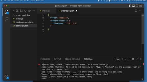 Add Firebase Sdk Via Npm Javascript